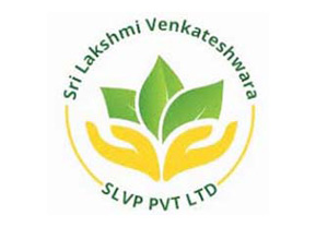 VIT Consultancy Services